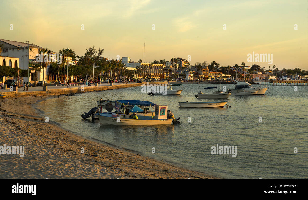 Paseo alvaro obregon hi-res stock photography and images - Alamy
