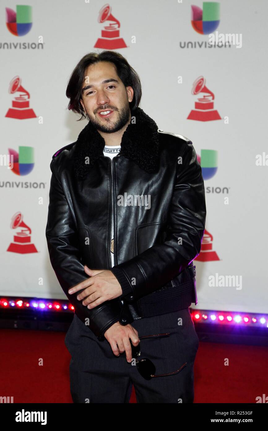 Nene 15 hi-res stock photography and images - Alamy