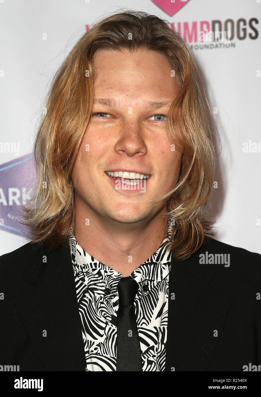 November 15, 2018 - Los Angeles, CA, U.S. - 15 November 2018 - Los ...