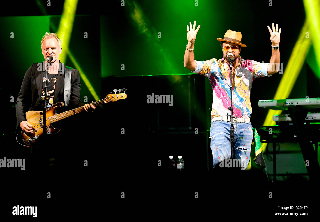 Shaggy singer hi-res stock photography and images - Alamy