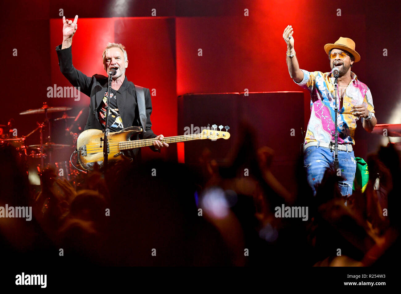 Shaggy Singer High Resolution Stock Photography and Images - Alamy