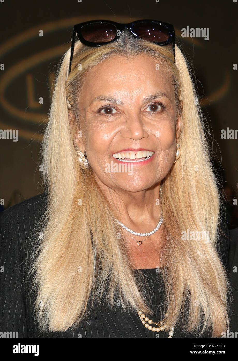 Beverly Hills, Ca. 16th Nov, 2018. Suzanne de Passe, at the Lupus LA ...