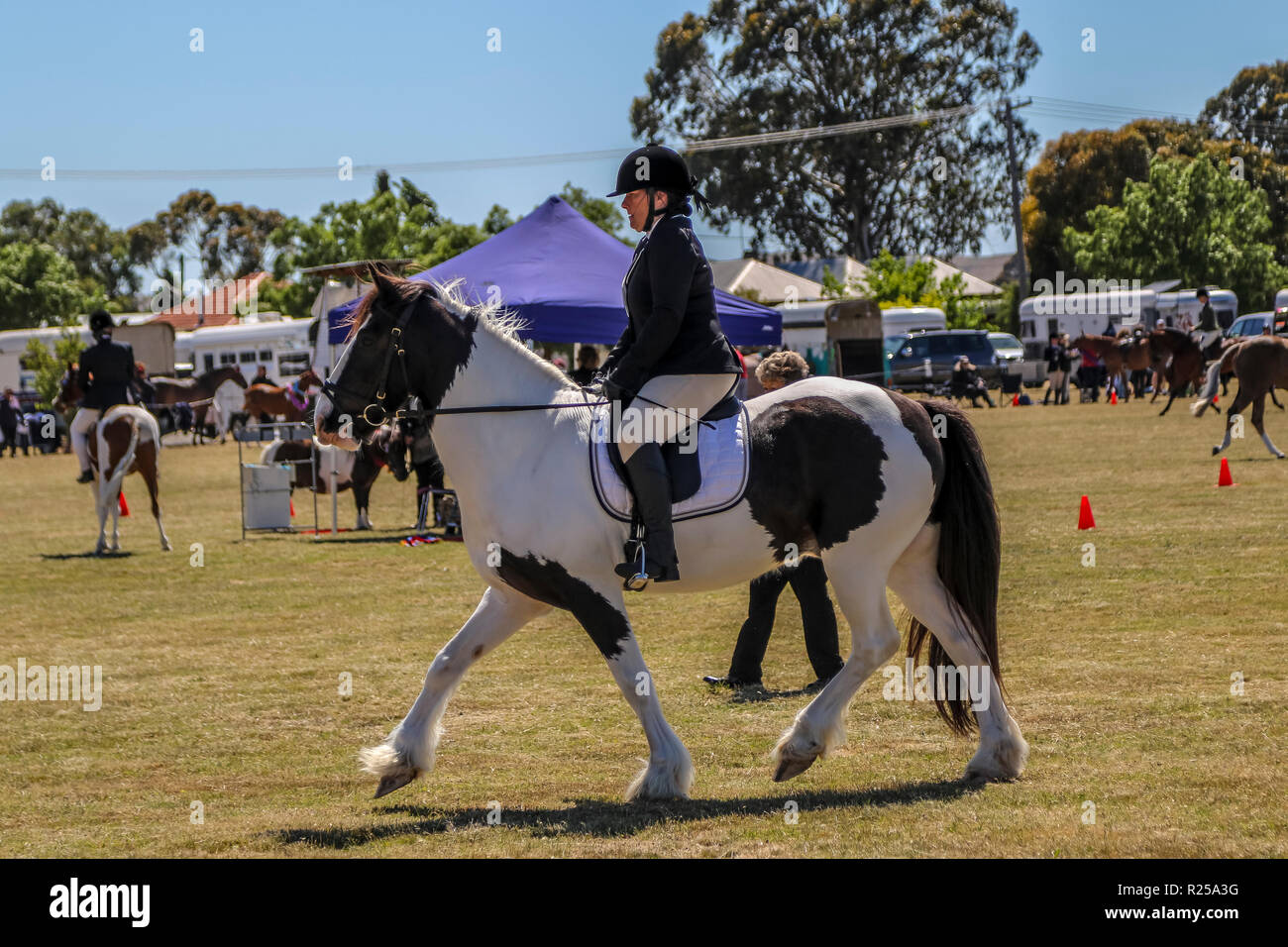 Outdoor dressage ring hi-res stock photography and images - Alamy