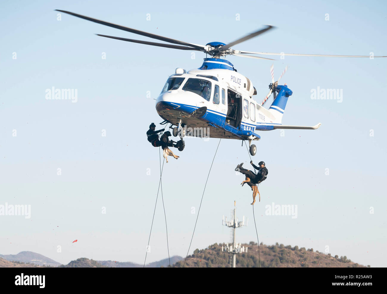 Beijing, China. 16th Nov, 2018. Trainers take police dogs to get off a ...