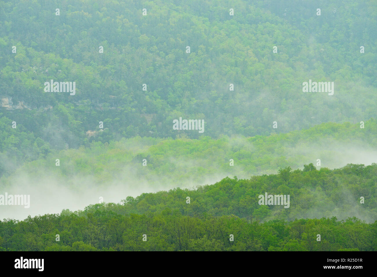 Ridges greenery hi-res stock photography and images - Alamy