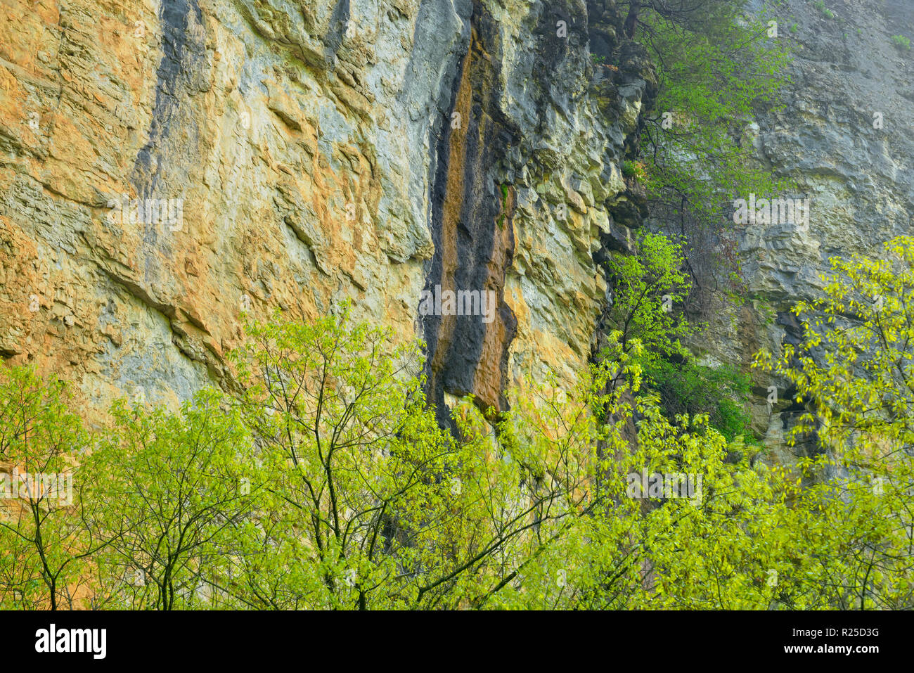 Buffalo national river lost valley hi-res stock photography and images ...