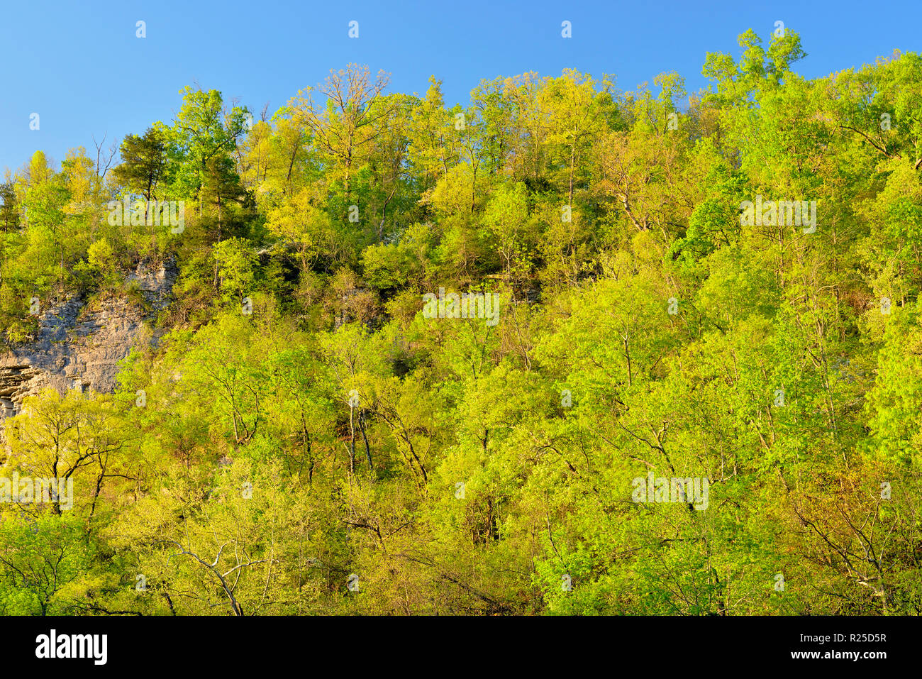 Buffalo river trail arkansas hi-res stock photography and images - Alamy