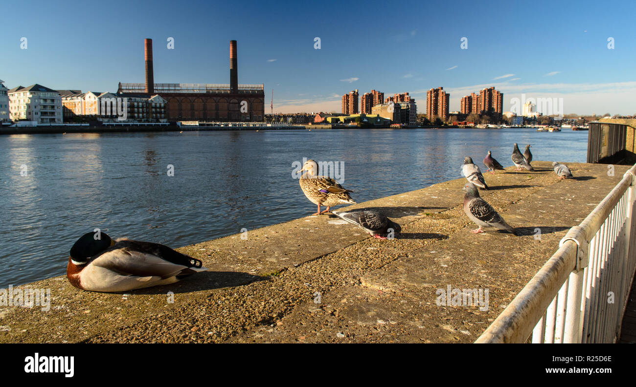 Thames river wall hi-res stock photography and images - Alamy