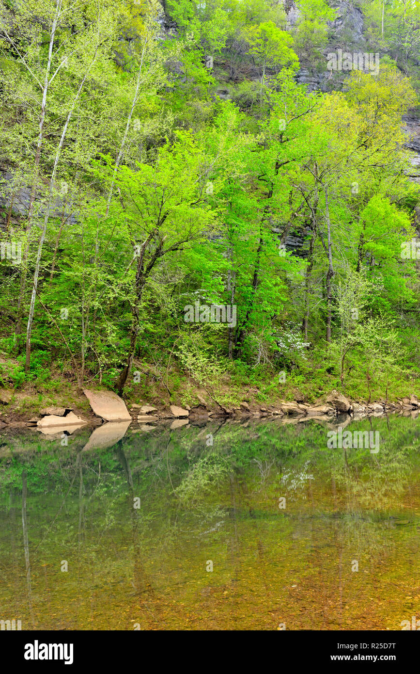 Buffalo river hi-res stock photography and images - Alamy