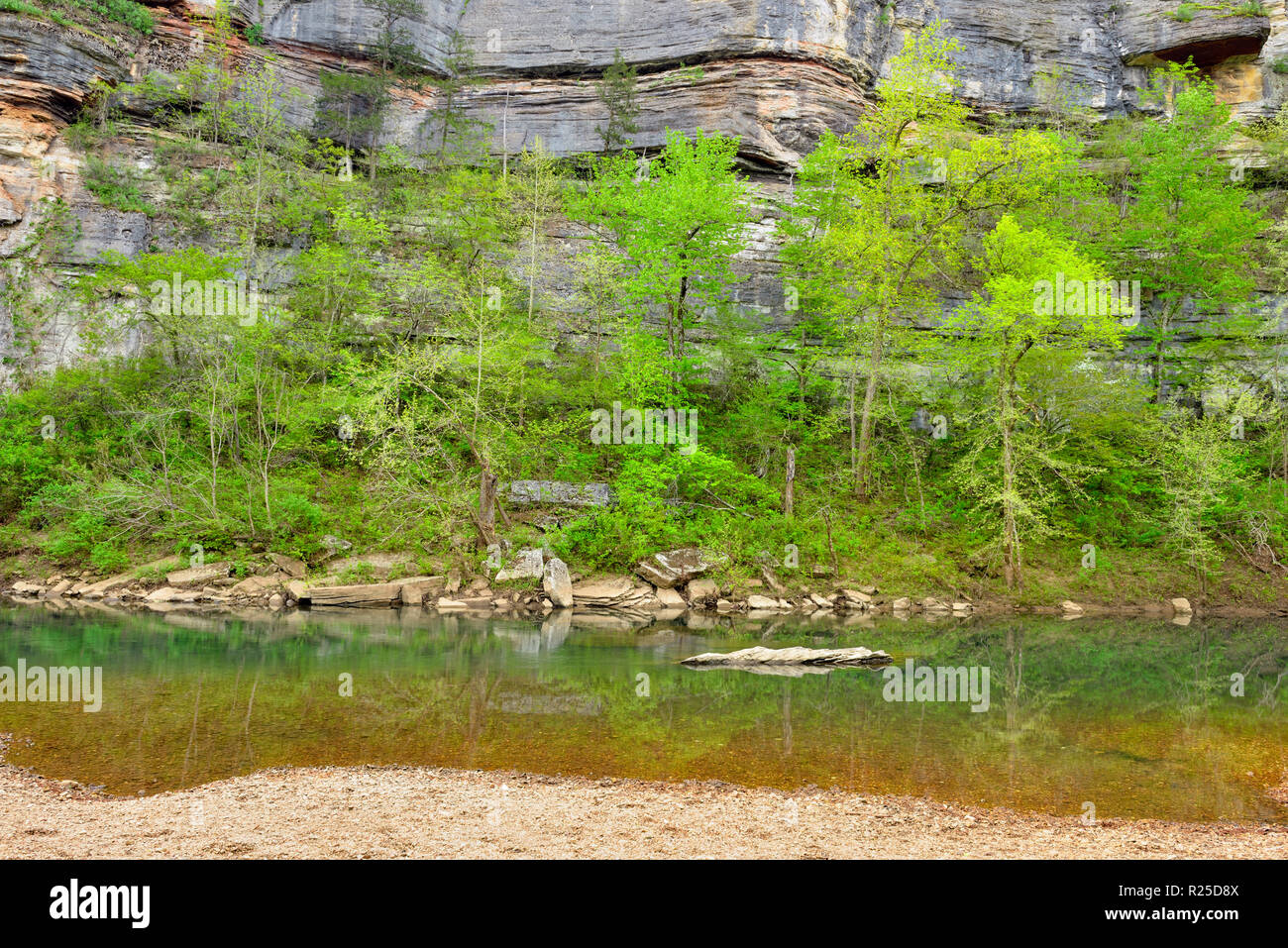 Forest scene trees on cliff hi-res stock photography and images - Alamy