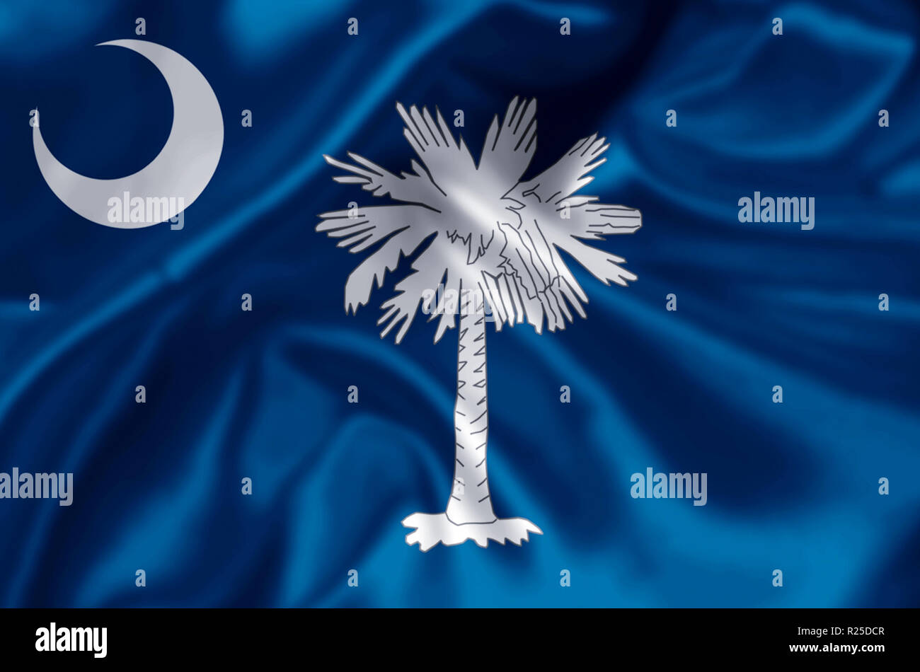 South Carolina waving and closeup flag illustration. Perfect for ...