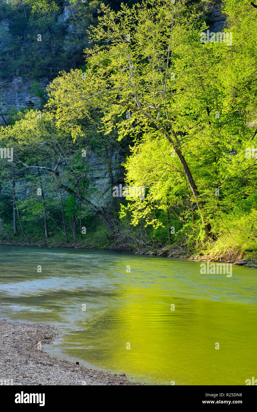 Spring foliage reflected in the Buffalo River at Pruitt Landing ...