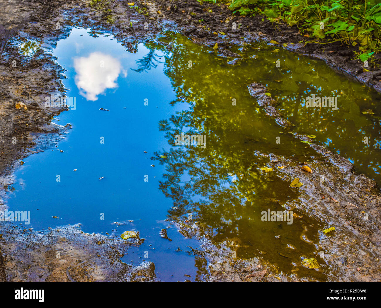 Welcome to EKPhoto. Background. Reflections of the trees, sky and white ...
