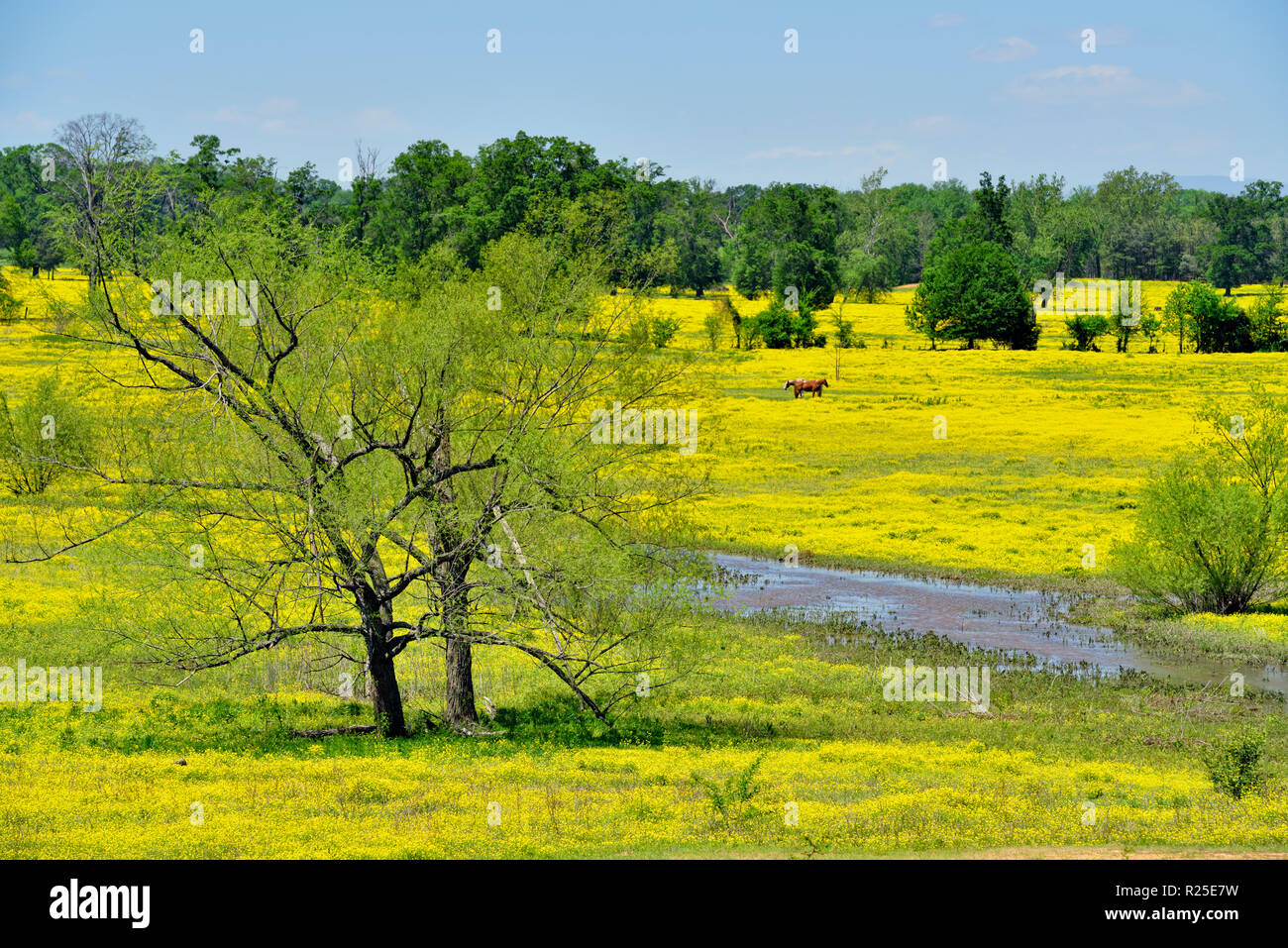 Arkansas countryside hi-res stock photography and images - Alamy