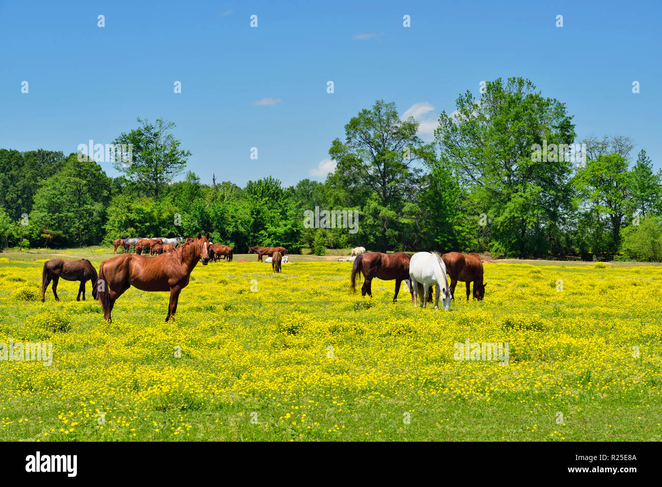 Centerville hi-res stock photography and images - Alamy