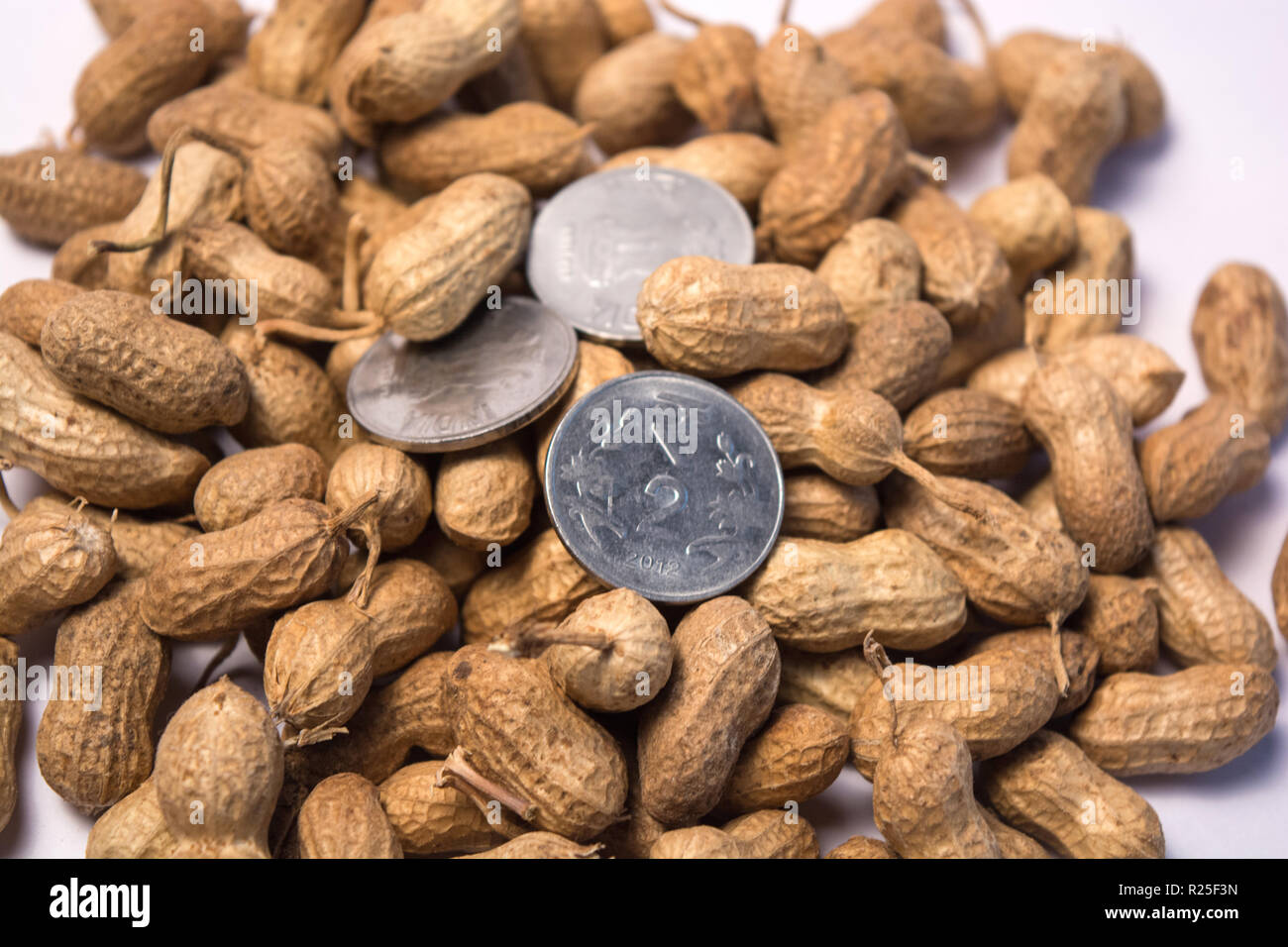 Close up of Peanuts or Groundnuts with indian coins on isolated ...