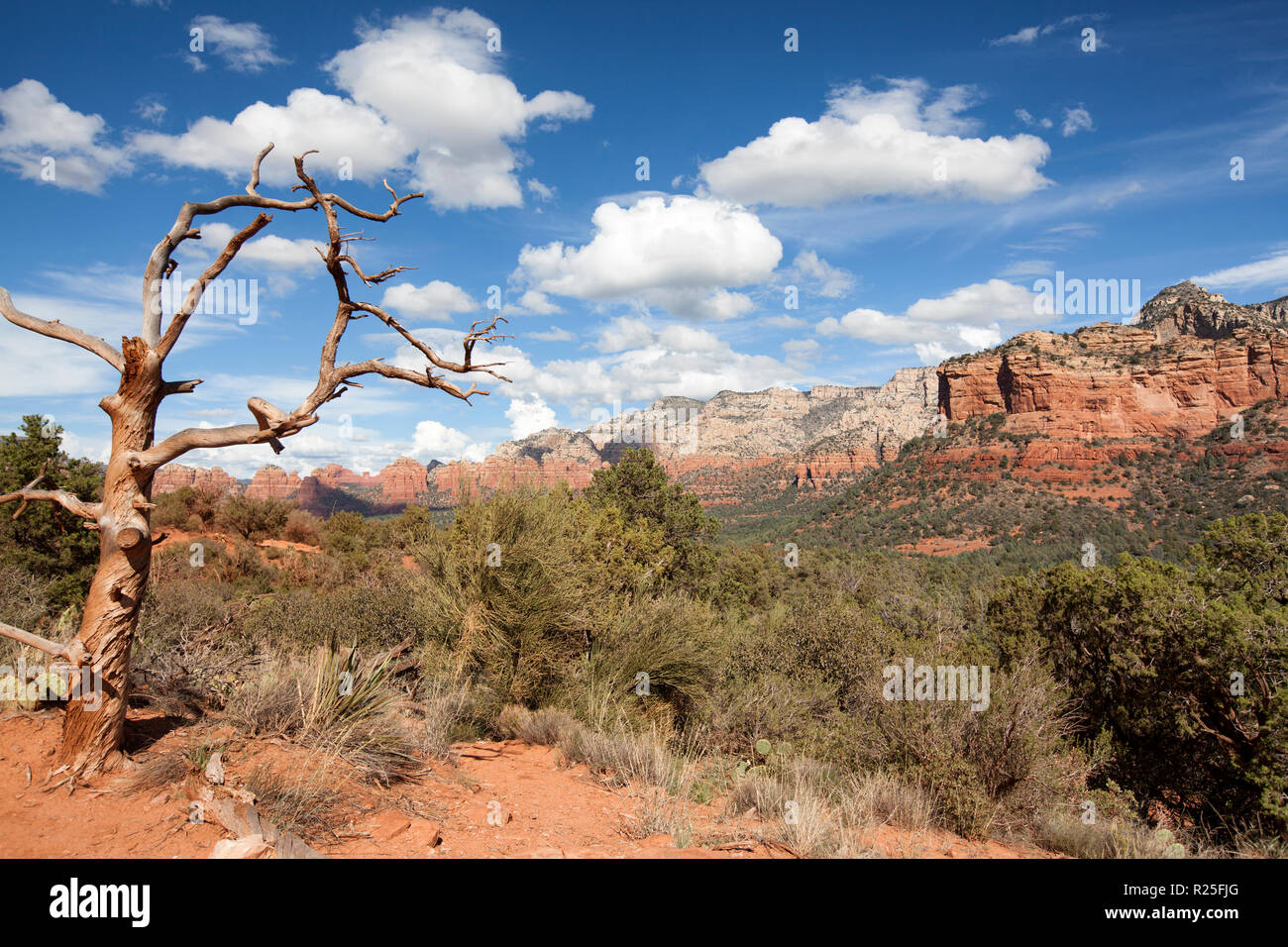 View of red rock buttes from Chicken Point Sedona arizona Stock Photo ...