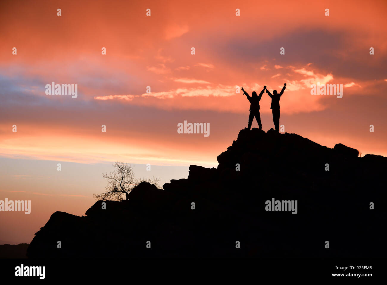 Harmonious team hi-res stock photography and images - Alamy