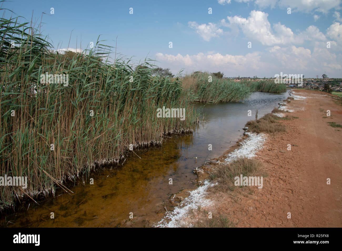 Acid Mine Drainage Stock Photos & Acid Mine Drainage Stock Images - Alamy