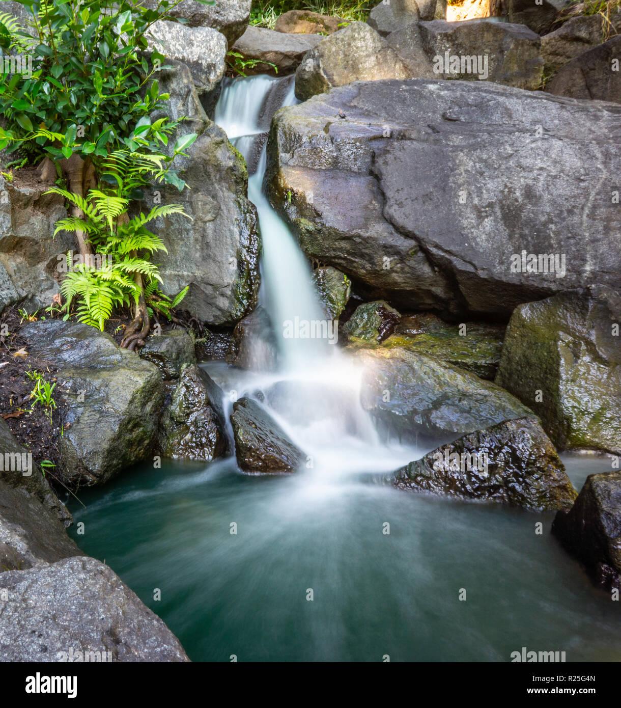 waterfall in forest Stock Photo - Alamy