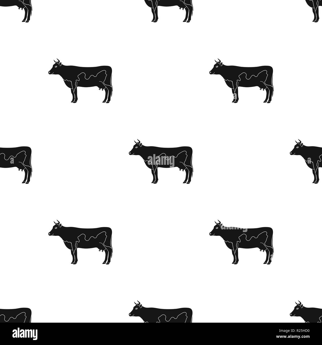 agriculture,animal,background,beef,black,bovine,calf,cattle,color,cow ...