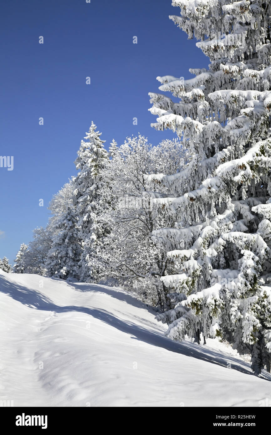 Eckbauer mountain near Garmisch-Partenkirchen. Germany Stock Photo - Alamy