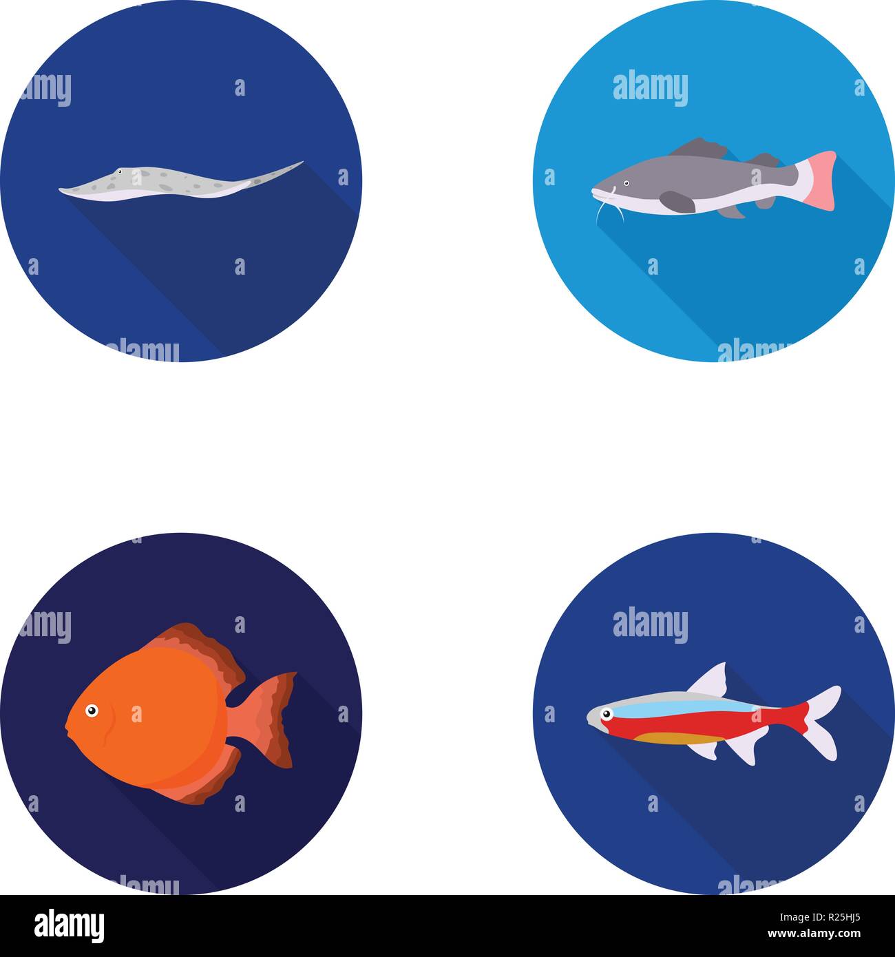 angelfish,aquarium,barbus,collection,common,fish,flat,icon,illustration ...