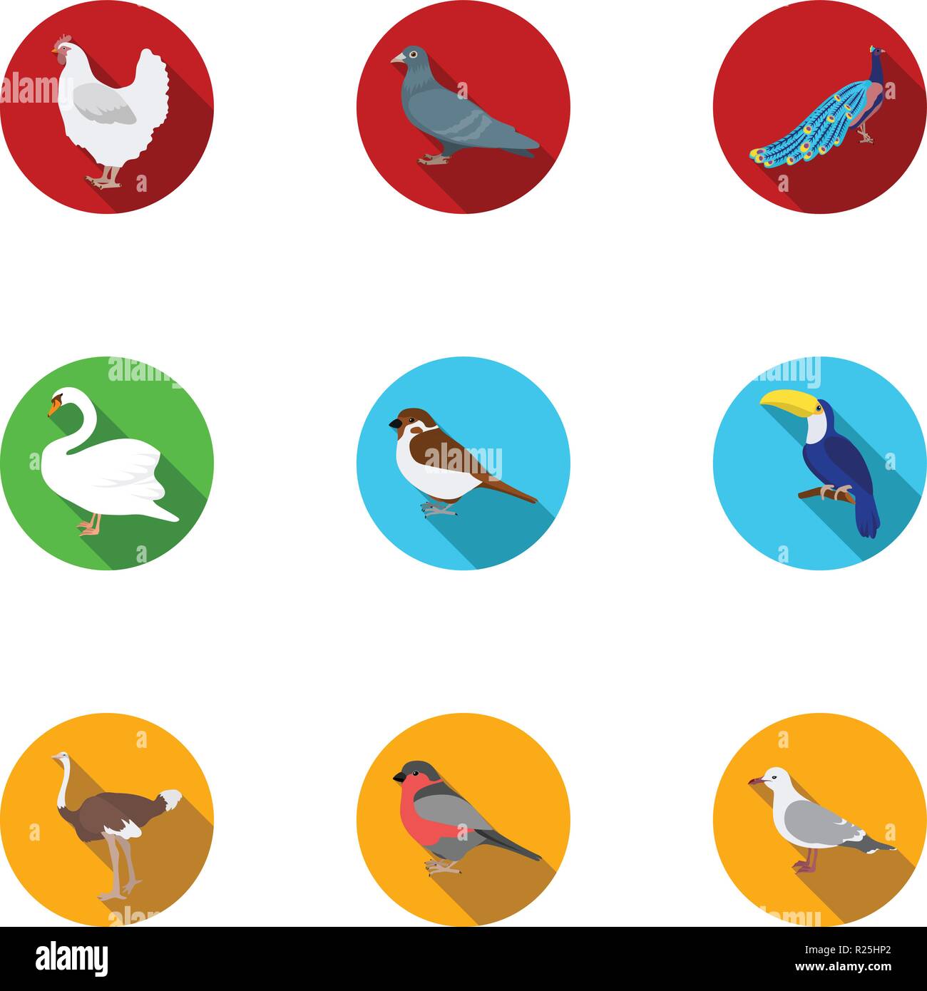 Chicken stock bird Stock Vector Images - Alamy