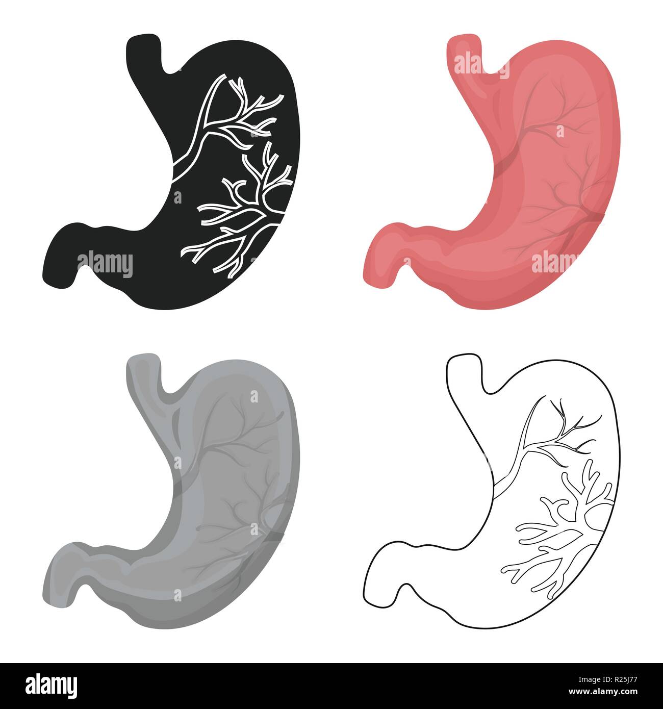 anatomy,art,biology,body,care,cartoon,design,digestion,digestive,donor ...