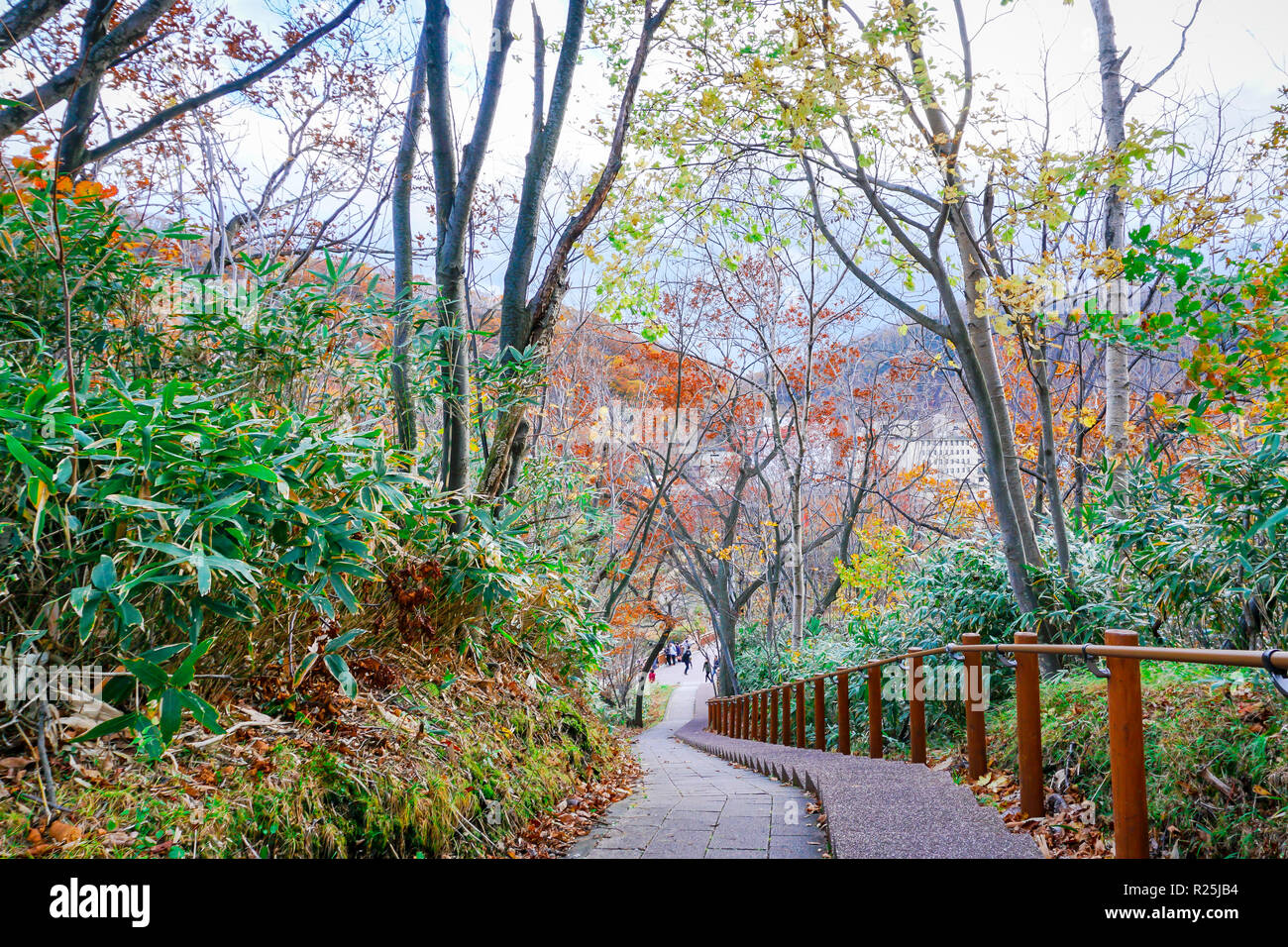 Autumn season at noboribetsu volcano in Hokkaido Japan Stock Photo - Alamy