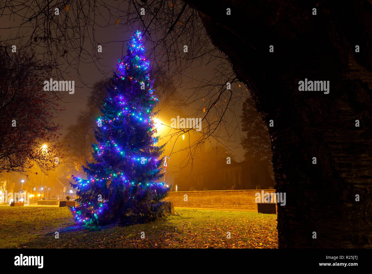 Leeds outdoor christmas tree hi-res stock photography and images - Alamy