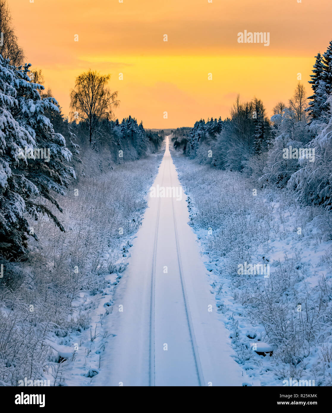 Lapland forest finland railway hi-res stock photography and images - Alamy