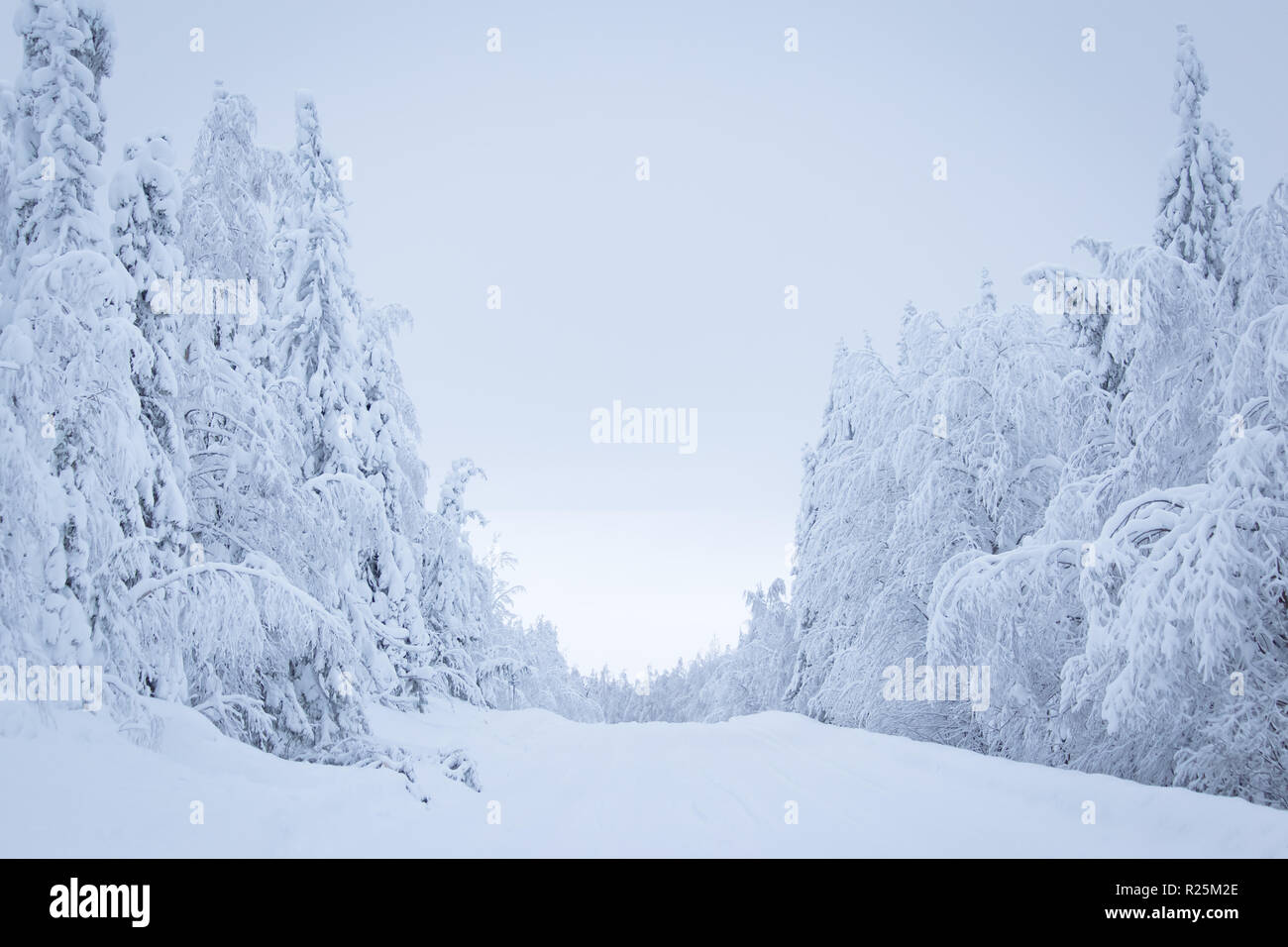 Heavy snow landscape from Sotkamo, Finland Stock Photo - Alamy