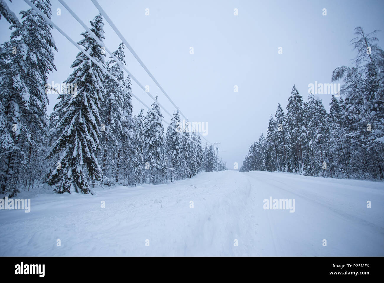 Snowy road scene from Sotkamo, Finland Stock Photo - Alamy