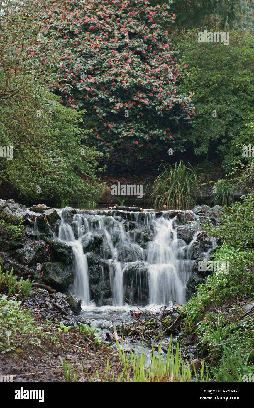 Clyne gardens hi-res stock photography and images - Alamy