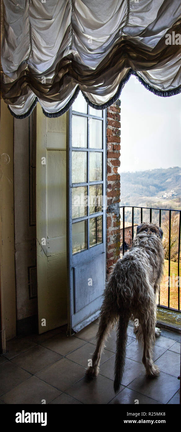 Watching look hi-res stock photography and images - Alamy