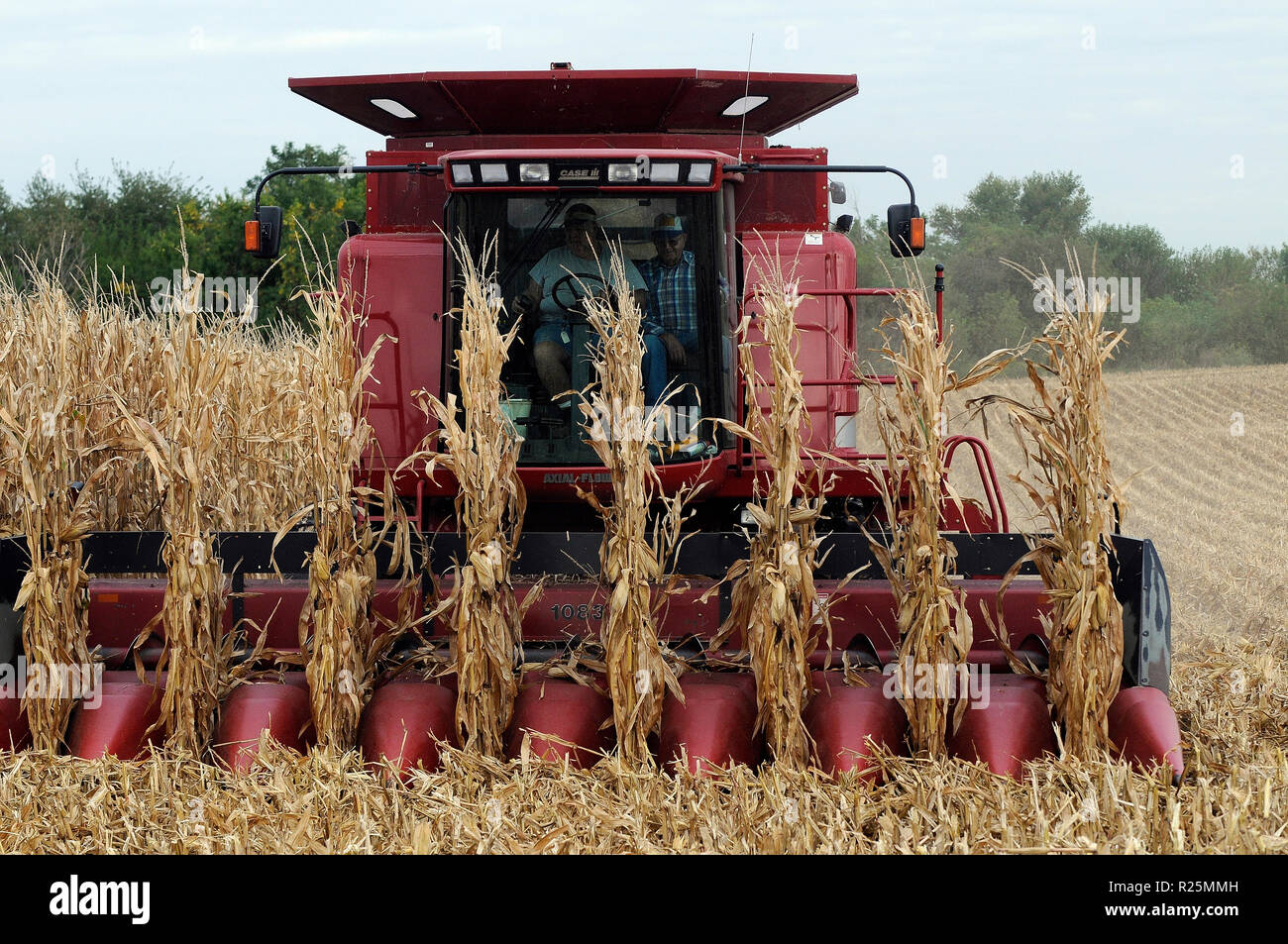 Harvest cash crops hi-res stock photography and images - Alamy