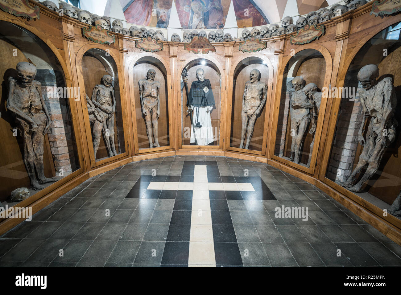 Mummy in the church, Urbania, Italy, Europe Stock Photo - Alamy