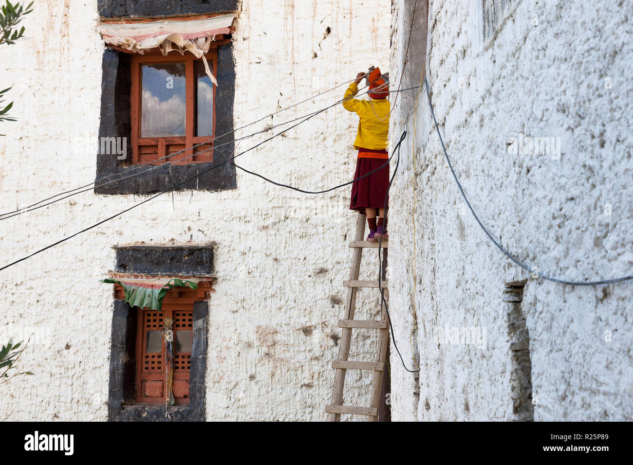 Buddhist monk standing on the wooden ladder and fixing something ...