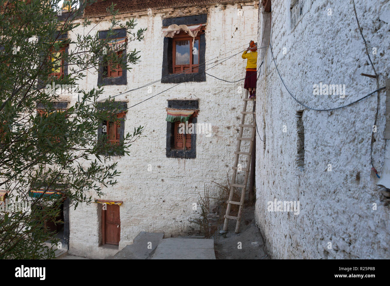 Buddhist monk standing on the wooden ladder and fixing something ...