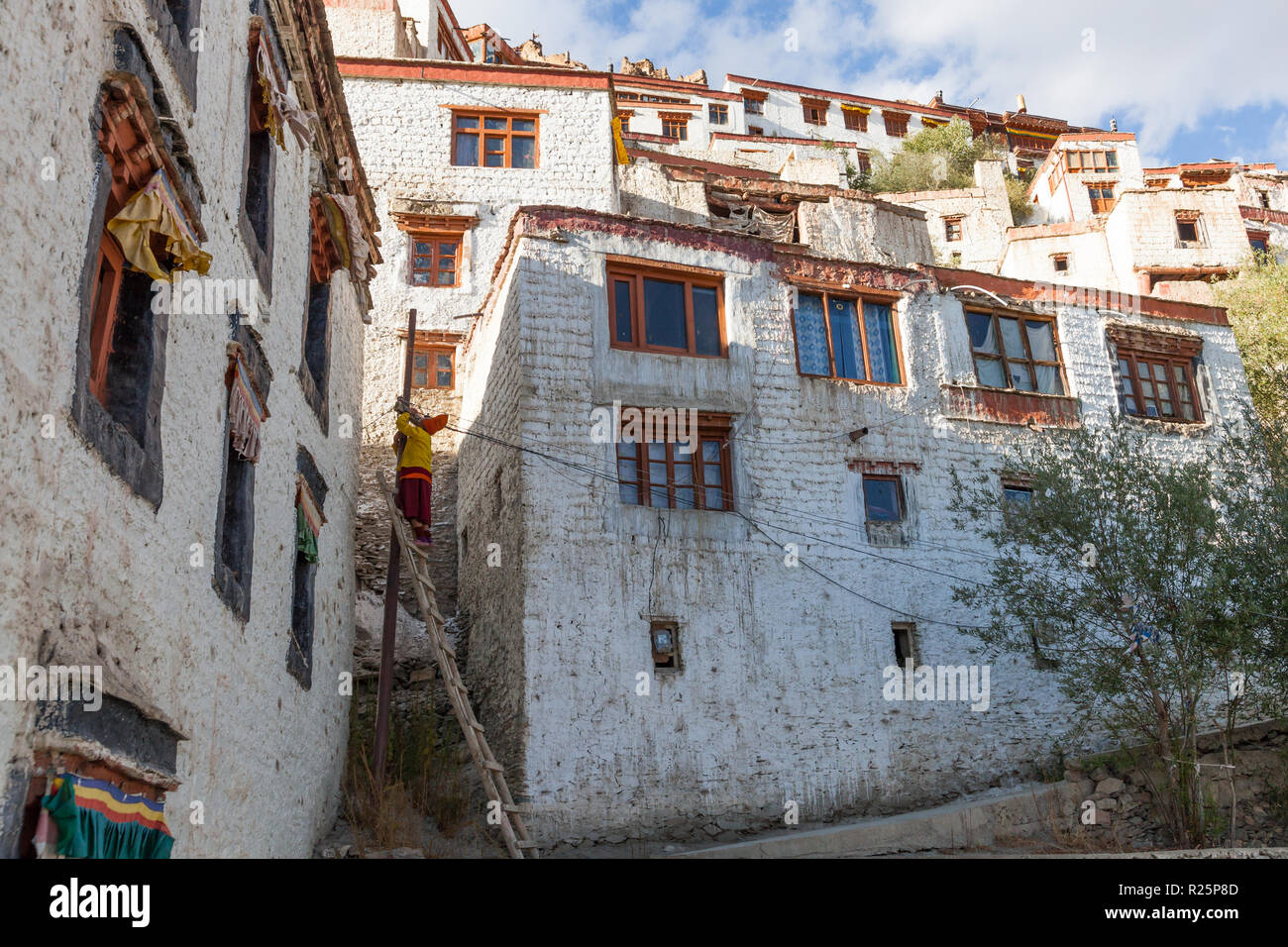 Buddhist monk standing on the wooden ladder and fixing something ...