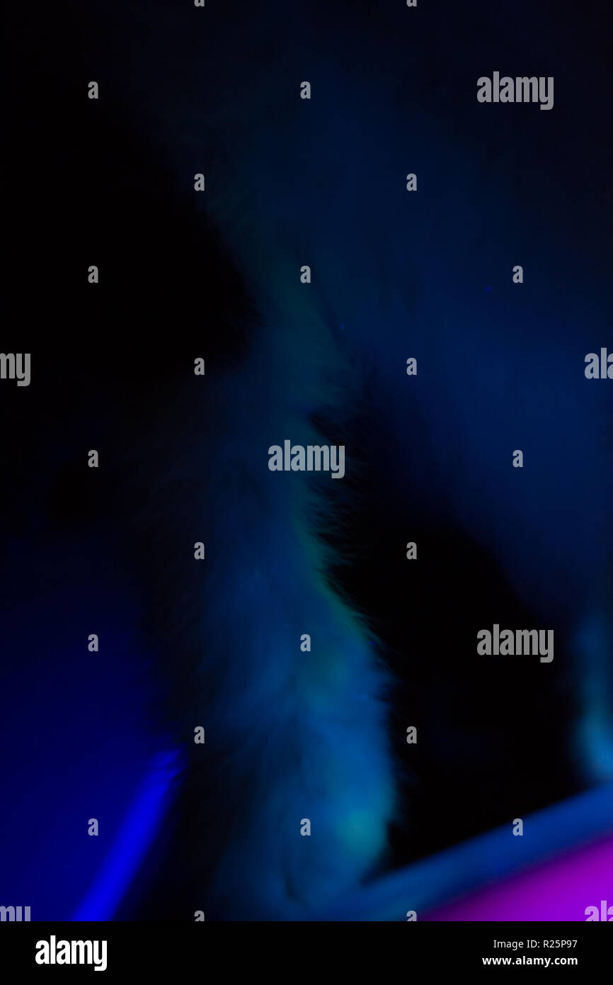 Ring worm skin hi-res stock photography and images - Alamy