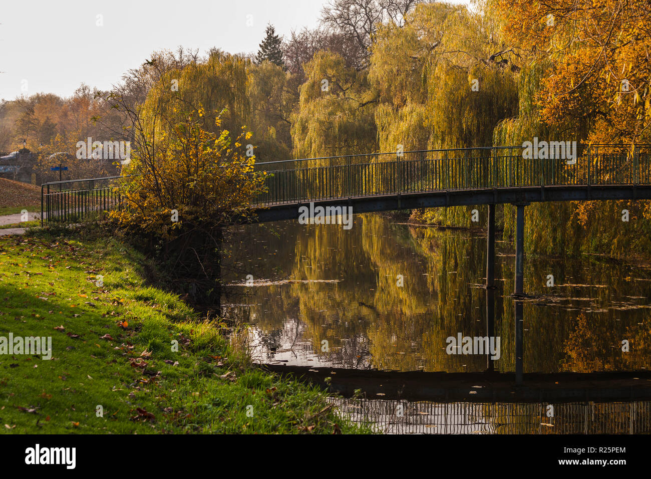 The trees showing their Autumn colours at the footbridge over the River ...