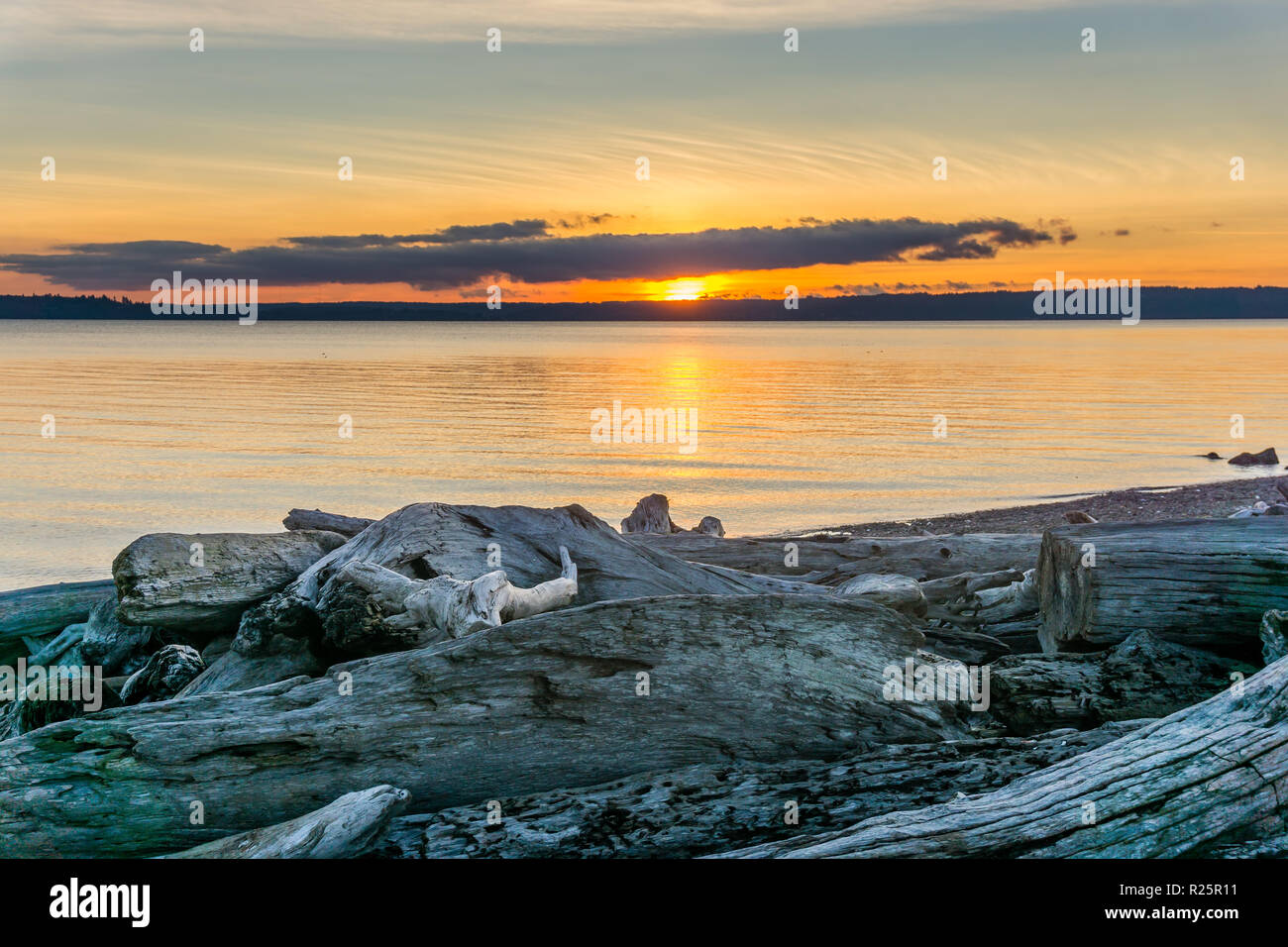 In the foreground photo hi-res stock photography and images - Alamy