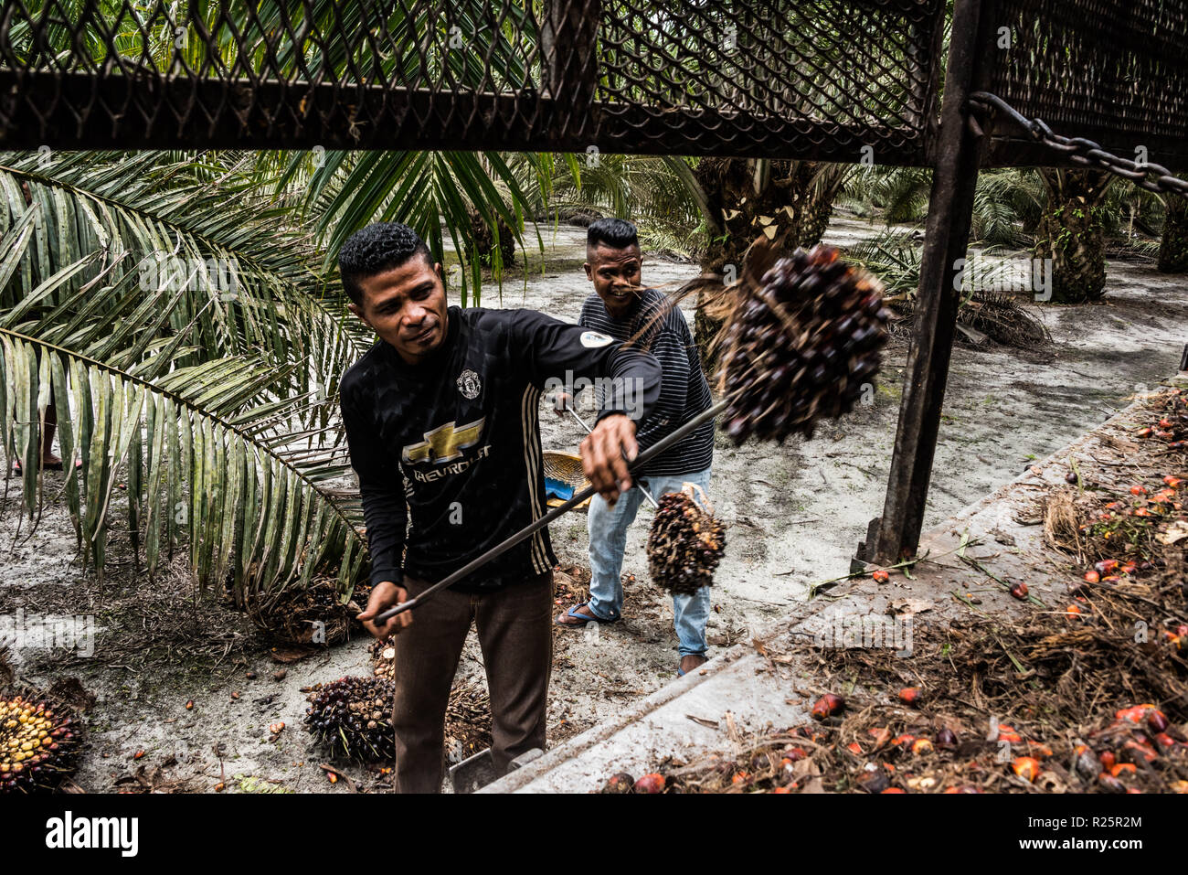 Poor agricultural practices hi-res stock photography and images - Alamy