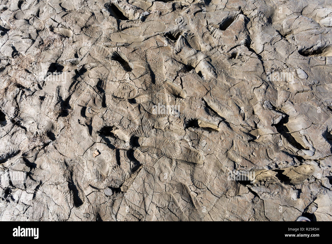 Dry and cracked soil Stock Photo - Alamy