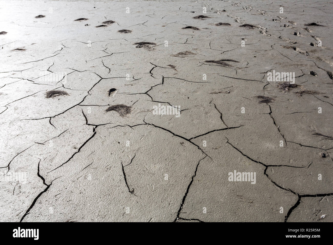 Dry and cracked soil Stock Photo - Alamy