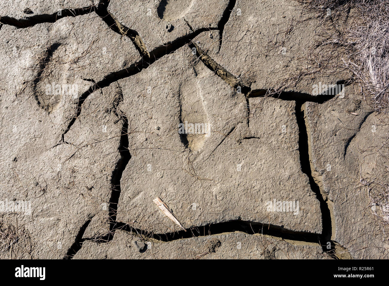 Dry and cracked soil Stock Photo - Alamy