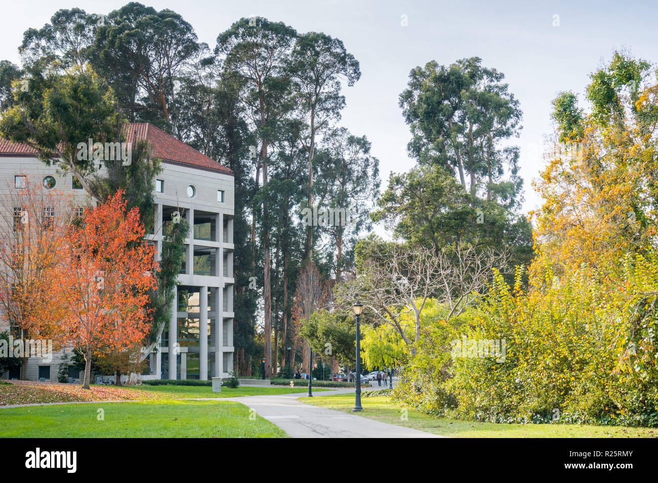 San francisco state university campus hi-res stock photography and ...