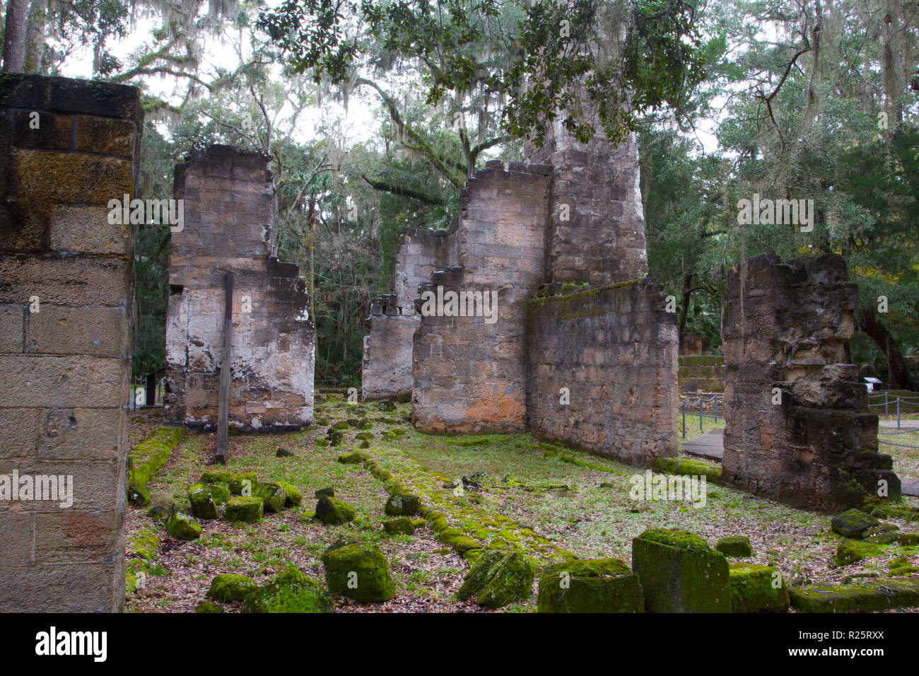 Bulow Plantation, Florida Stock Photo - Alamy